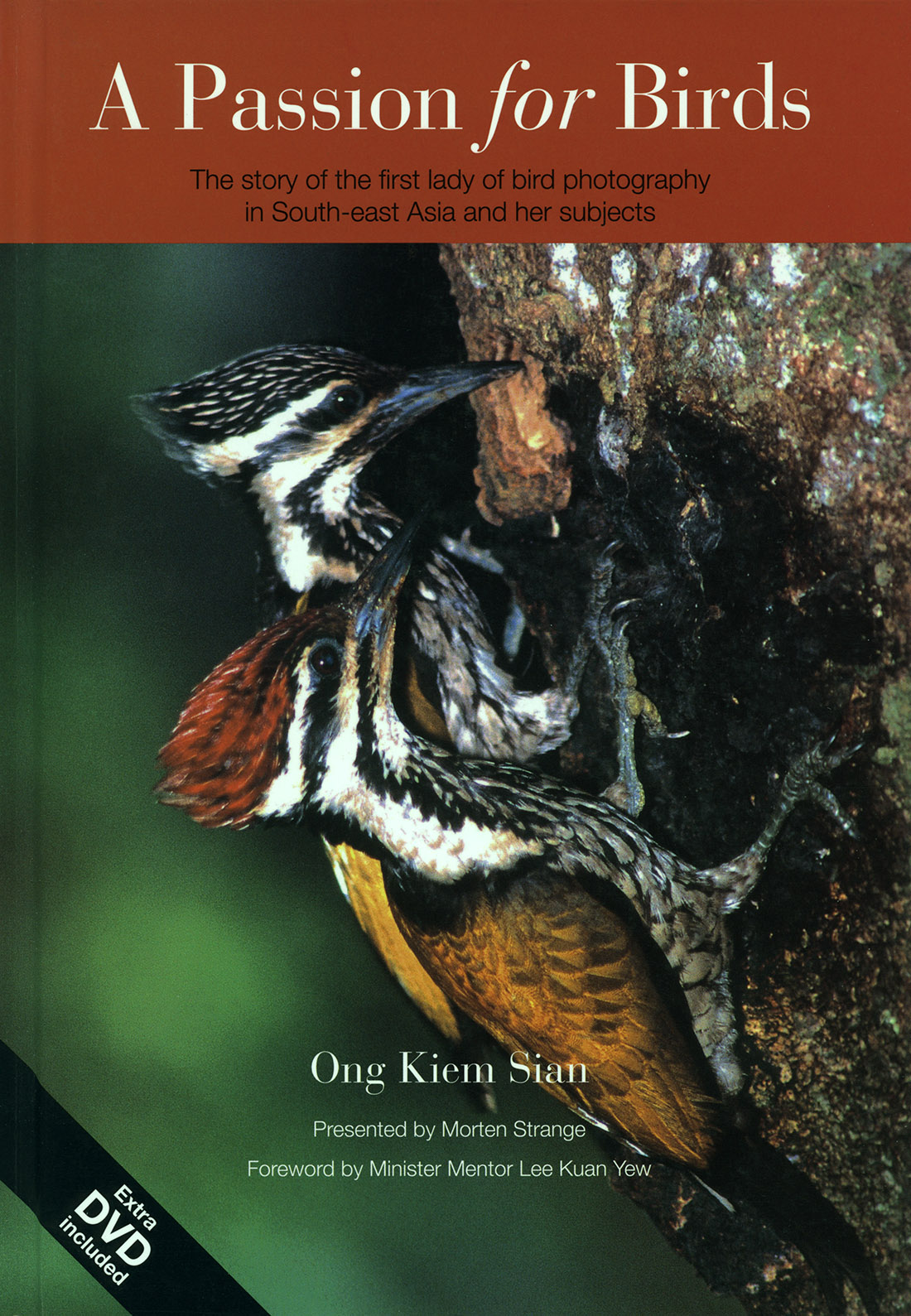 Ong Kiem Sian – A Passion for Birds – Birds of Singapore