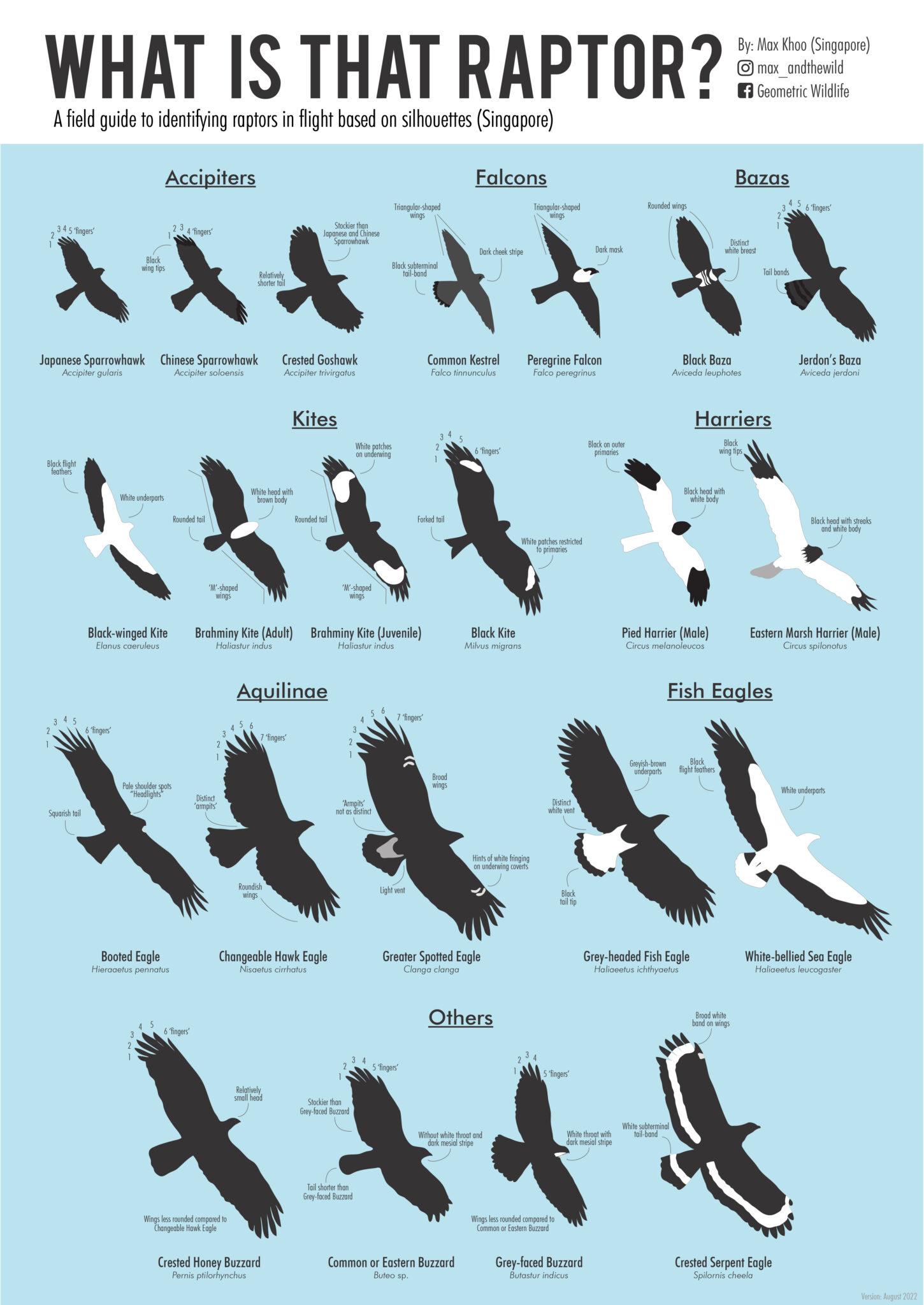 RAP301: What is that raptor? – Birds of Singapore