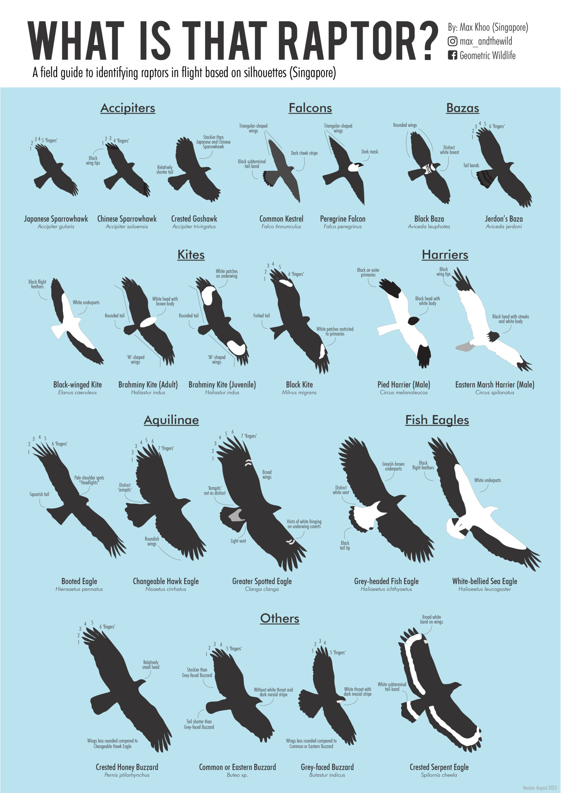 RAP301: What is that raptor? – Birds of Singapore