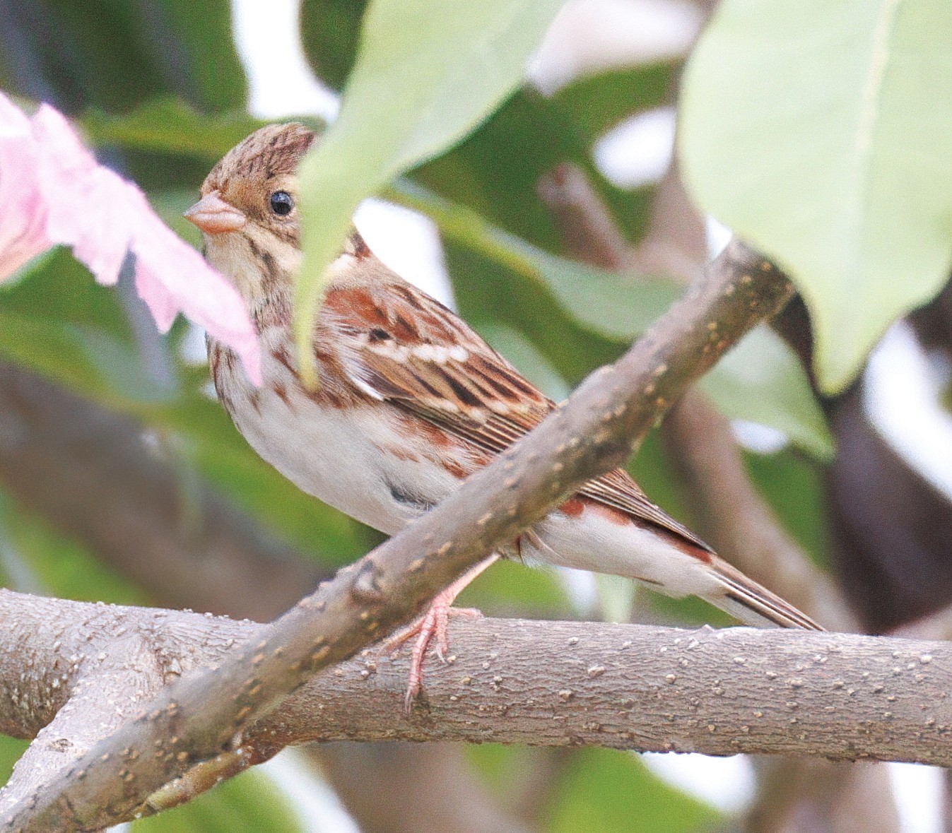 imagef9185ae7-b501-499d-bfa3-e1630661a752-af286b37-6217-4efe-831b ...